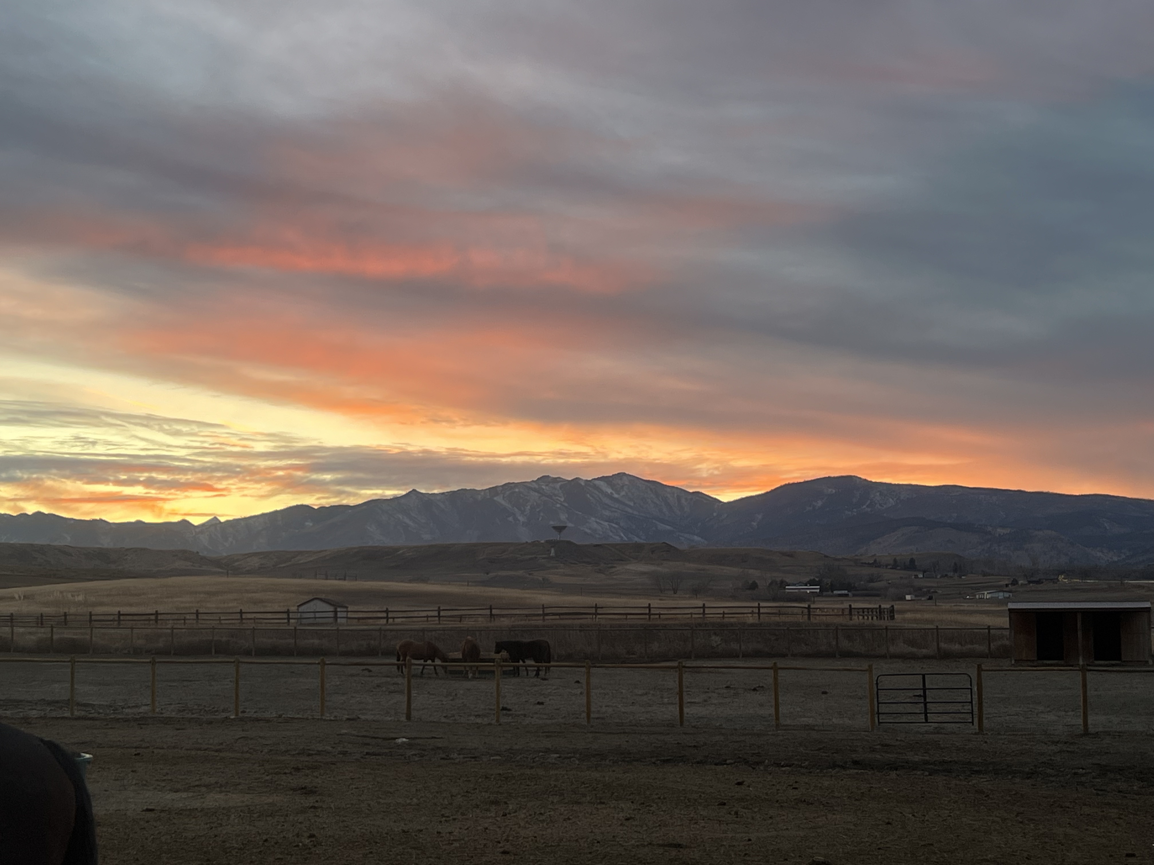 Home - Healing Souls Ranch
